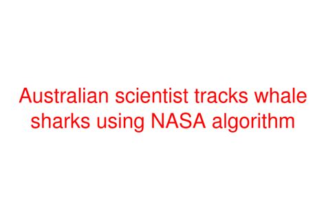 Australian Scientist Tracks Whale Sharks Using Nasa Algorithm Social