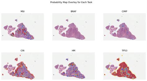 Prediction Of Molecular Pathways And Key Mutations Tia Toolbox 151