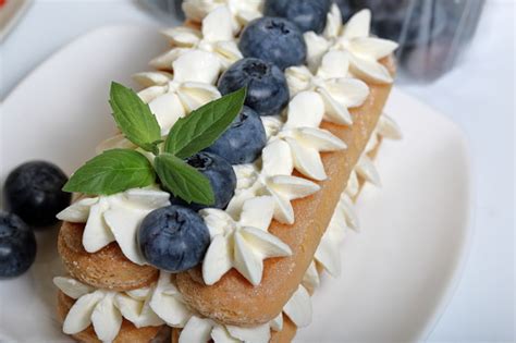 이탈리아 사보야디 쿠키와 크림으로 만든 케이크 블루베리와 민트 잎으로 장식되어 있습니다 갈색에 대한 스톡 사진 및 기타 이미지 갈색 검은색 달콤한 음식 Istock