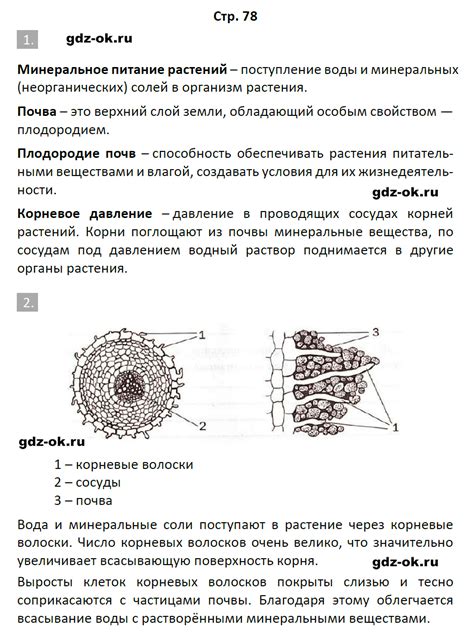 Страница 78 ГДЗ по биологии 6 класс Пасечник Линия Жизни рабочая тетрадь 2023