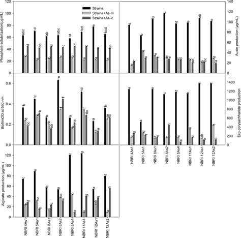 Plant Growth Promoting Pgp Attributes Of Pgpr Under Different Arsenic