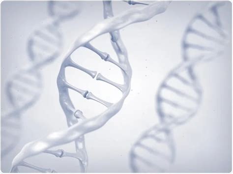 Edmonton Police Apologize After Concerns Raised Over Release Of Dna Phenotyping Composite Sketch