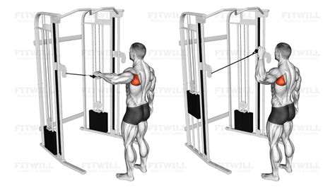 Cable Shoulder 90 Degrees External Rotation Exercise Guide Video Techniques Benefits How To