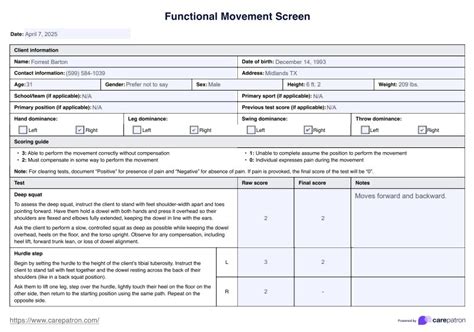 Functional Movement Screen FMS Example Free PDF Download