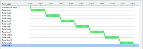 Cellprofiler Track Objects With Intermittent Point Of Reference Image Analysis Imagesc Forum