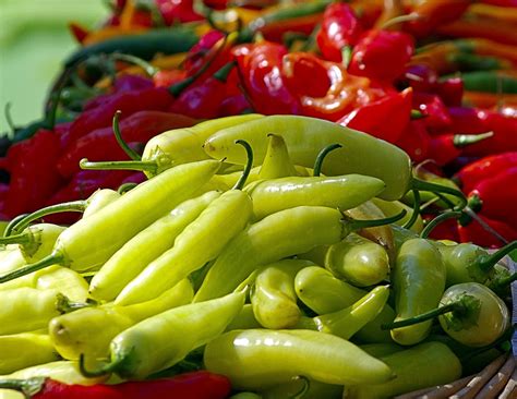 МЗШВ Исплатени 214 7 милиони денари субвенции за производителите на градинарски култури до