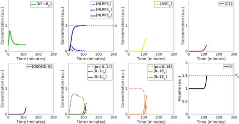 Numerical Simulations Results Of The System Of Odes 231 With Download Scientific Diagram