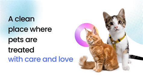 10 Best Pet Friendly Cleaning Tips