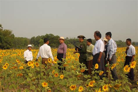 မွန်ပြည်နယ်ဝန်ကြီးချုပ် ဦးအောင်ကြည်သိန်း ချောင်းဆုံမြို့နယ်ရှိ ဆောင