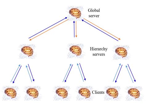 Hierarchical Fl [63 64] Download Scientific Diagram