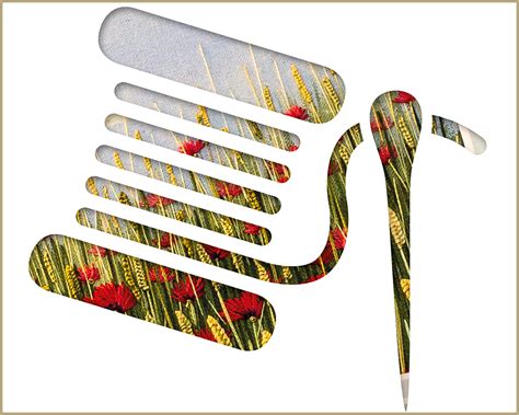 Form Vs Function Inspirations Studios