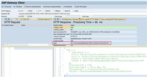 Building OData Services Concurrency Handling Using ETag With Entity Hash Discovering ABAP