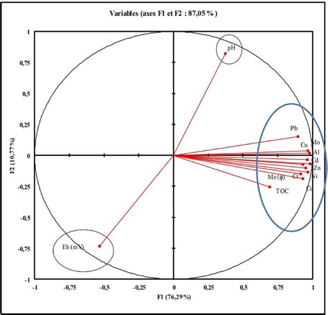 Principal Component Analysis Classifying Trace Elements Into Two Groups