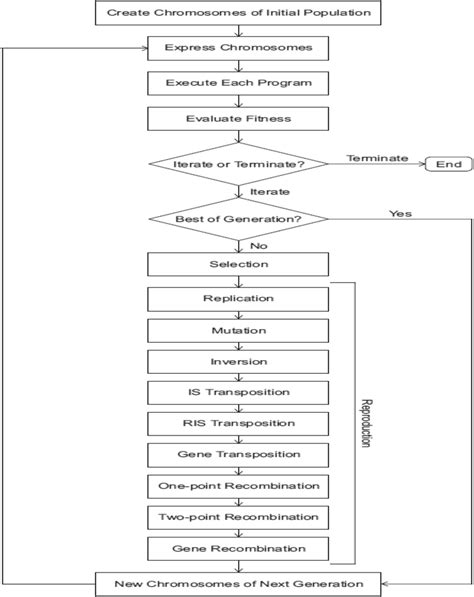 Graphical Representation Of Gep Algorithms Ferreira 2006 Download