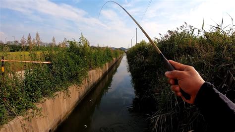 농수로 붕어낚시 내림낚시 소물낚시 Youtube
