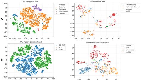 深度学习与结构上下文分析融合的rna二级结构预测方法dsrnafold 生物通