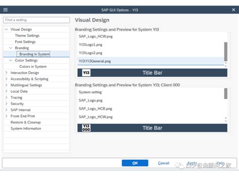 Sap Gui For Windows 800 X64版本已经发布【附下载地址】 知乎