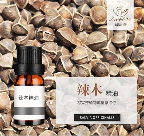 迪沃森辣木油 植物油原料 阿里巴巴