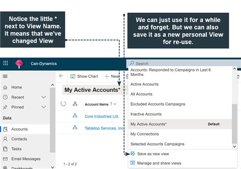 CRM Views Are Easily Configurable SYSTEMHEADS