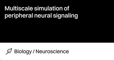 Multiscale Simulation Of Peripheral Neural Signaling