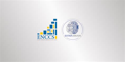Enccs Enccs Supports Development Of Bcpnnsim20 Advancing Brain Like Machine Learning And