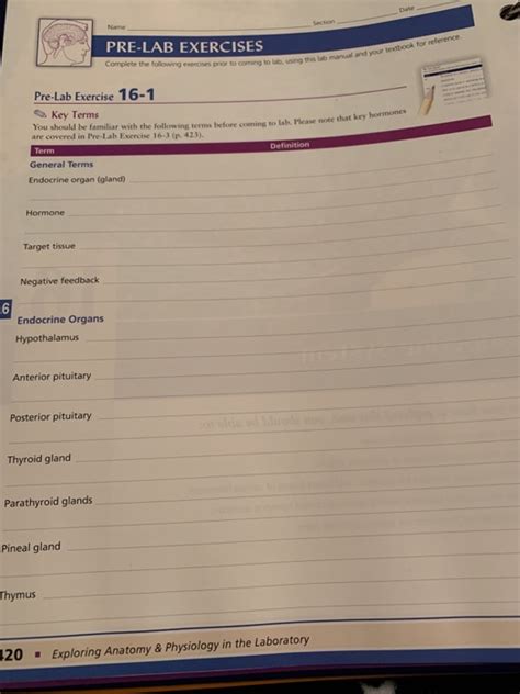 Solved PRE LAB EXERCISES Ab Manual And Your Textbook For Chegg Com