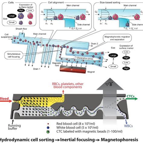 Pdf Hybrid Microfluidics Combined With Active And Passive Approaches