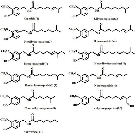 Structural Diversity Of Capsaicinoids In Capsicum Species Download Scientific Diagram