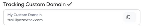 Custom Tracking Domain Guide For Email Engagement More