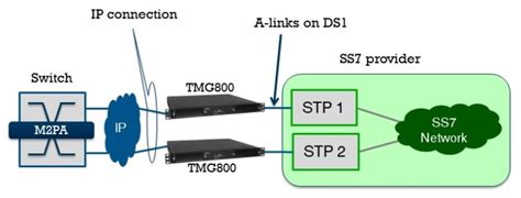 Migrating From Ss7 To Sigtran Telcobridges