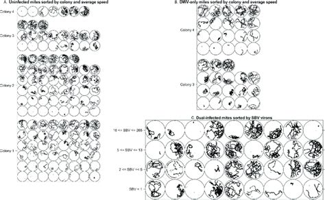 Visualization Of Mite Tracks Mite Tracks Grouped By Colony And Viral