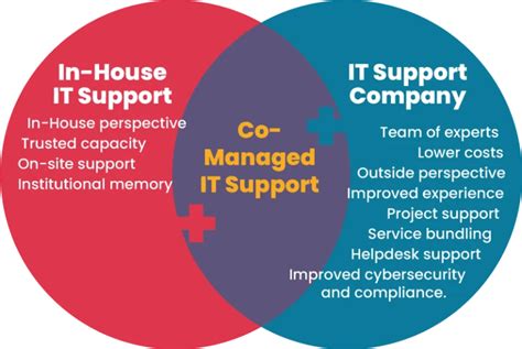 Co Managed It Services Enabla Technology