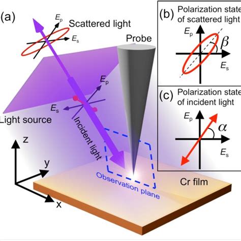 Polarization States Of Scattered Light Calculated With Fdtd Simulation