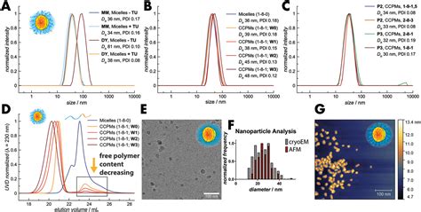 Complex Structures Made Simple Continuous Flow Production Of Core Cross‐linked Polymeric