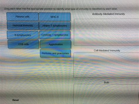 Solved Drag Each Label Into The Appropriate Position To