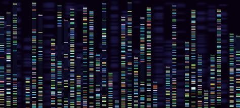 Bioinformatics Tools Every Lab Should Use Bioinformatics Tools Every Lab Should Use