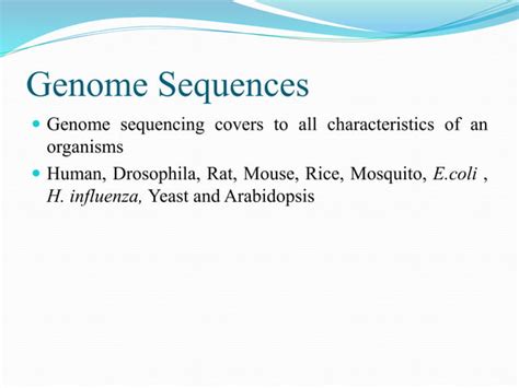 Bioinformatics And Its Scope In Biotech Pptx