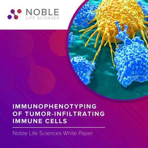 White Paper On Tumor Infiltrating Immune Cells In Mice Noble Life Sciences Inc Posted On The