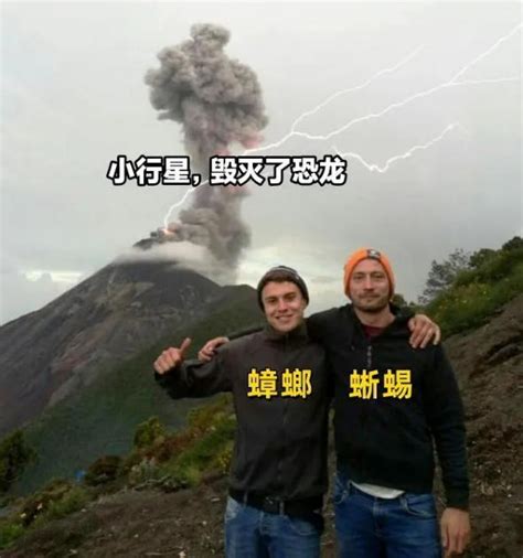 九成人都不知“蟑螂最大天敌”是啥，屋内放点它，蟑螂就“集体消退”了