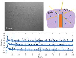 Inkjet Printed D Micro Ring Electrode Arrays For Amperometric Nanoparticle Detection