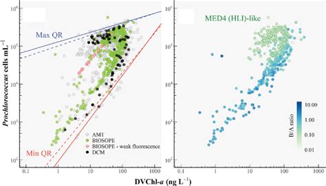 A Relationship Between Prochlorococcus Cell Abundance And The Download Scientific Diagram