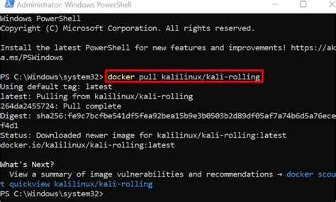 ¿cómo Ejecutar Kali Linux En Docker Muylinux