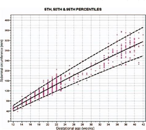 Figure 6 From Autopsy Standards For Fetal Lengths And Organ Weights Of