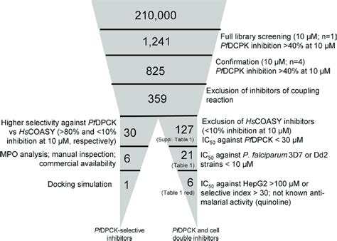 Screening Cascade Of The High Throughput Screening Of Ddi Library The Download Scientific Screening Cascade Of The High Throughput Screening Of Ddi Library The Download Scientific