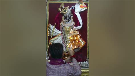 Rajadhiraj Dwarkadhish Maharaj 🙏 ️ Jaydwarkadhishji Jayshreekrishna Rajadhiraj Youtube