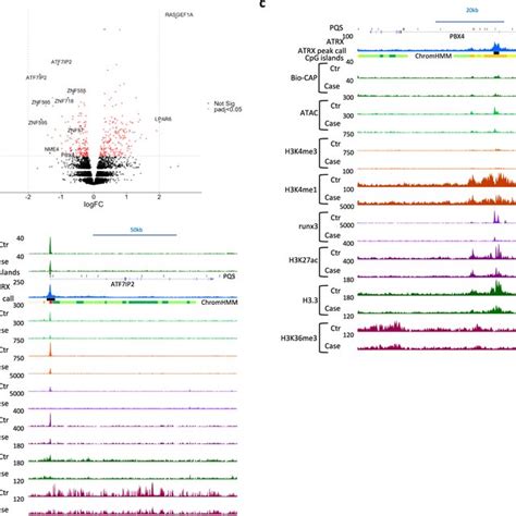 Atrx Binding Sites Associated With Unmethylated Cpg Clusters And Open Download Scientific