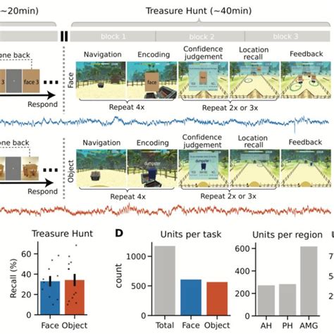 Paired Task Session With Combined Spike Sorting A Overview Of The Download Scientific