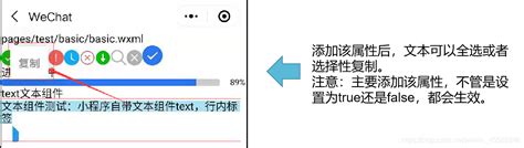 31 微信小程序（组件 基础内容组件） 微信小程序ul li标签 csdn博客