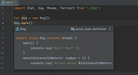 Typescript Webstorm Documentation