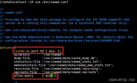 Linux中dns域名解析服务域名 Linux 解析到本地其他请求解析到服务器 Csdn博客 Linux中dns域名解析服务域名 Linux 解析到本地其他请求解析到服务器 Csdn博客